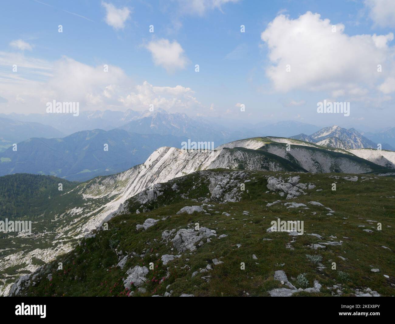 Landscape images and wild alpine flowers of the Kalkalpen National Park ...