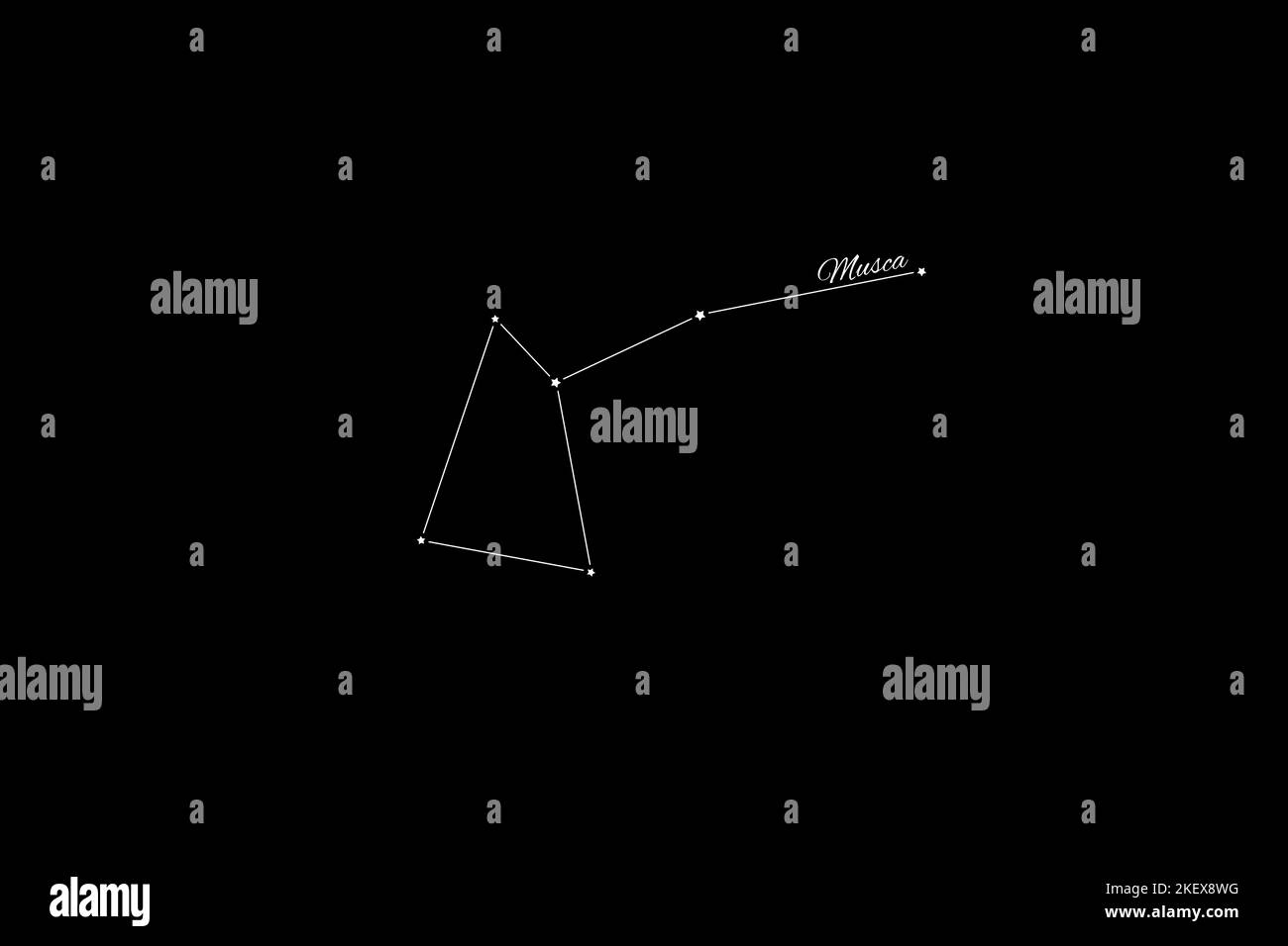 Musca constellation, Cluster of stars, Fly constellation Stock Photo ...