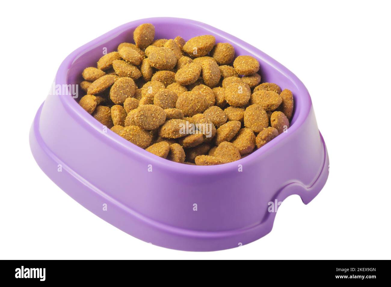 Pet food isolated on white.Granules of dry feed for animals in a purple ...