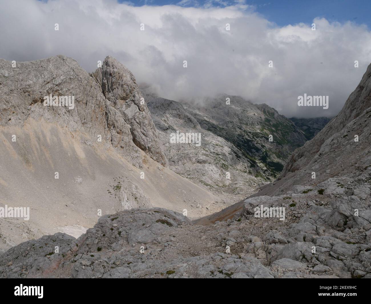 Landscape images and wild alpine flowers of the Julian Alps in Slovenia ...