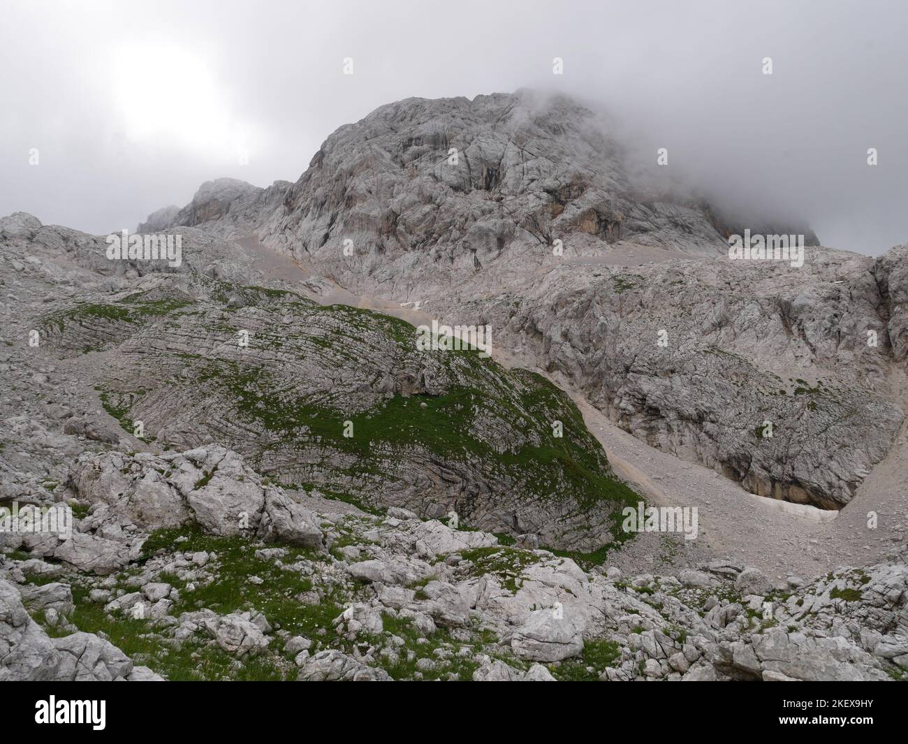 Landscape images and wild alpine flowers of the Julian Alps in Slovenia ...