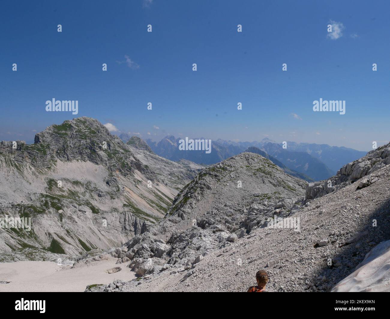 Landscape images and wild alpine flowers of the Julian Alps in Slovenia ...