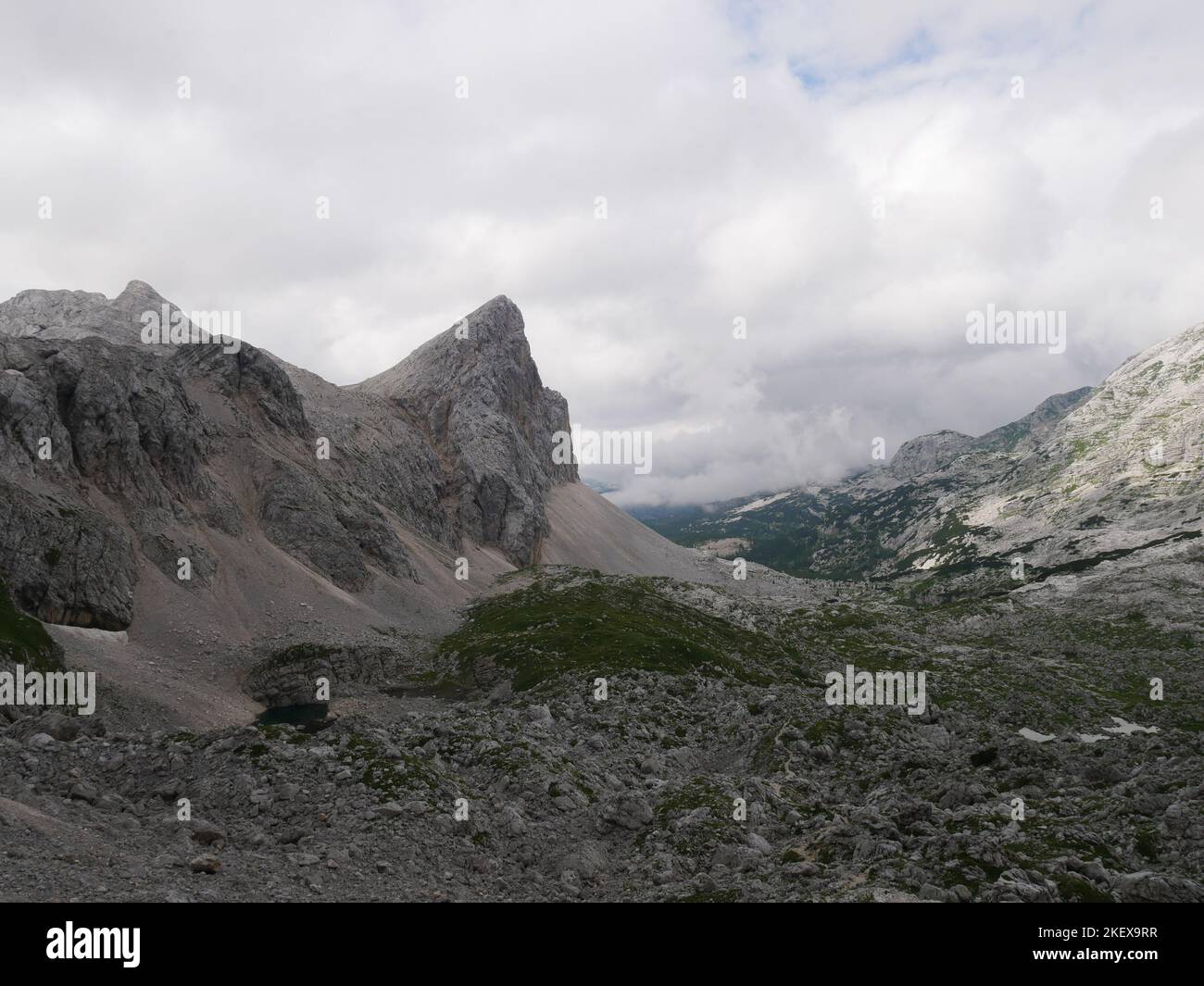Landscape images and wild alpine flowers of the Julian Alps in Slovenia ...