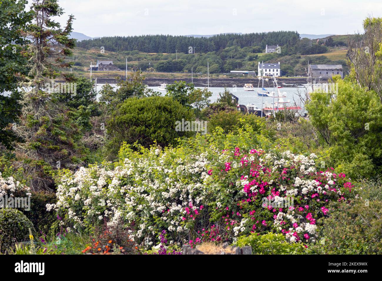 Baltimore harbour county cork ireland hi-res stock photography and ...