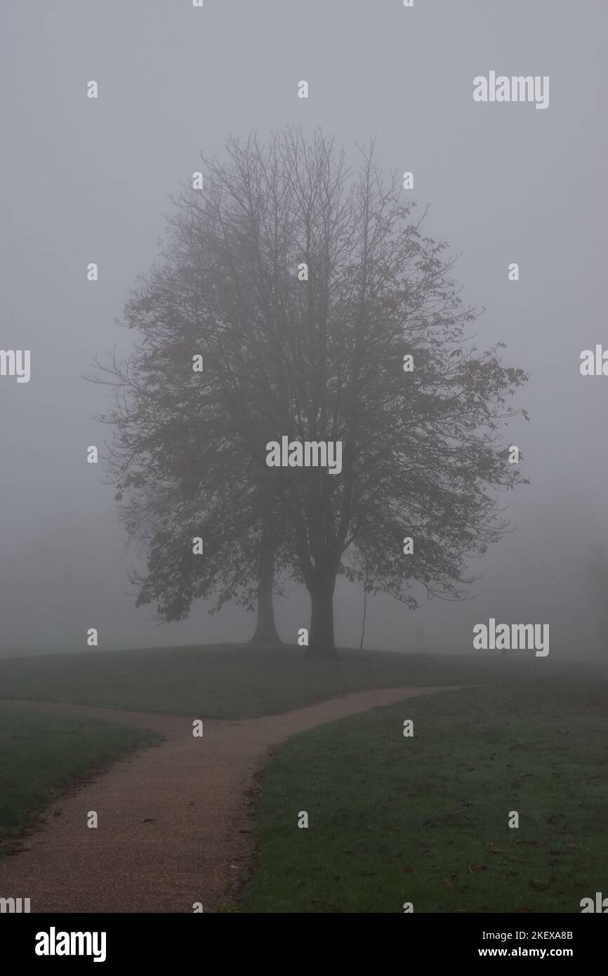 Weather mist fog foggy day hi-res stock photography and images - Alamy