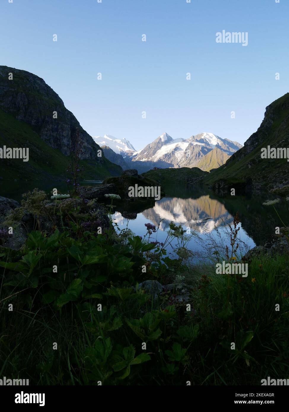 Wildflowers and landscape images from the Swiss Valais mountains ...
