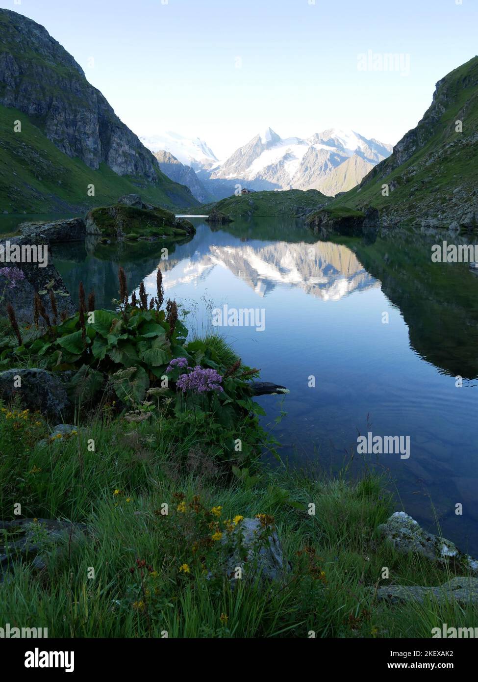 Wildflowers and landscape images from the Swiss Valais mountains ...