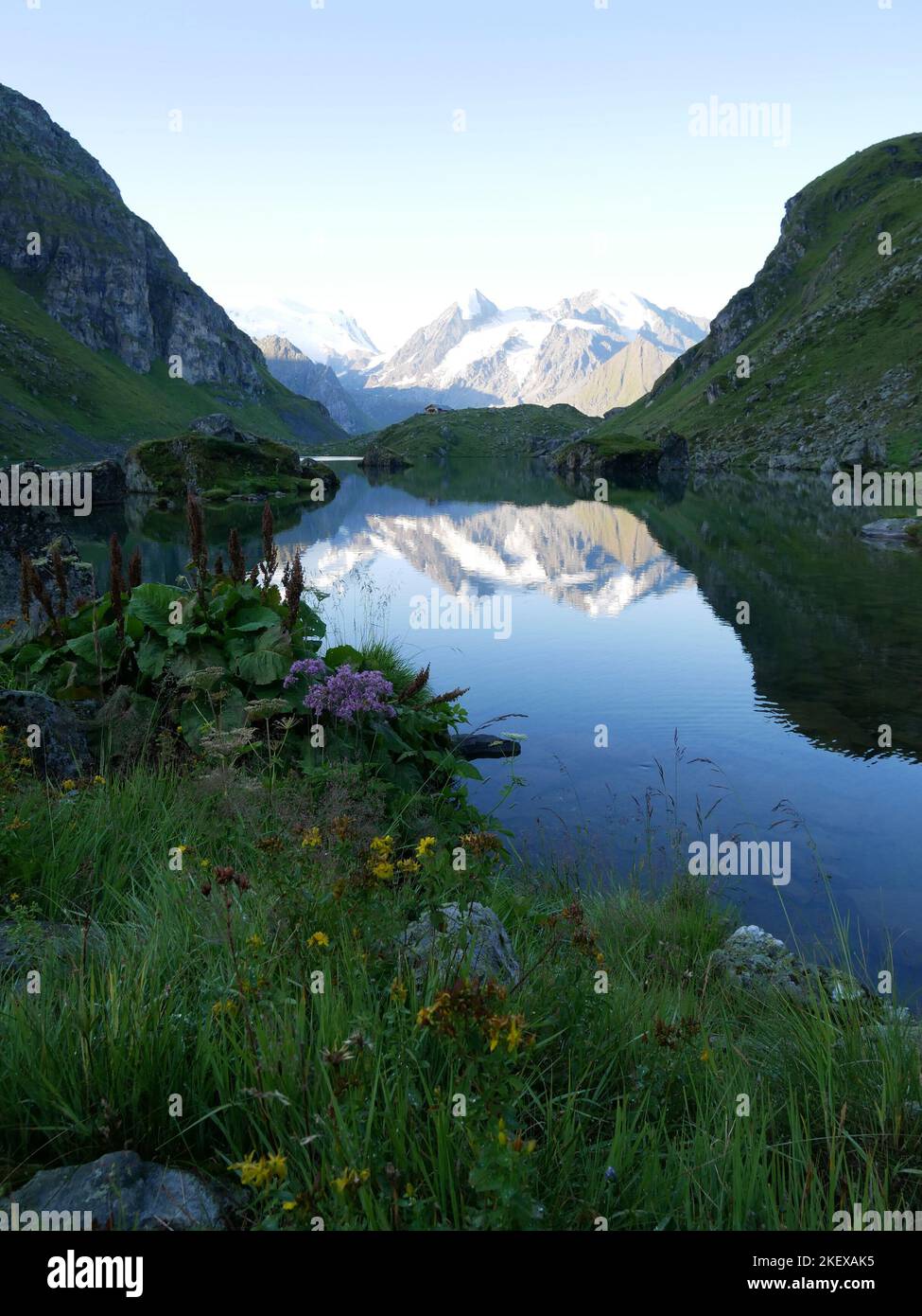Wildflowers and landscape images from the Swiss Valais mountains ...