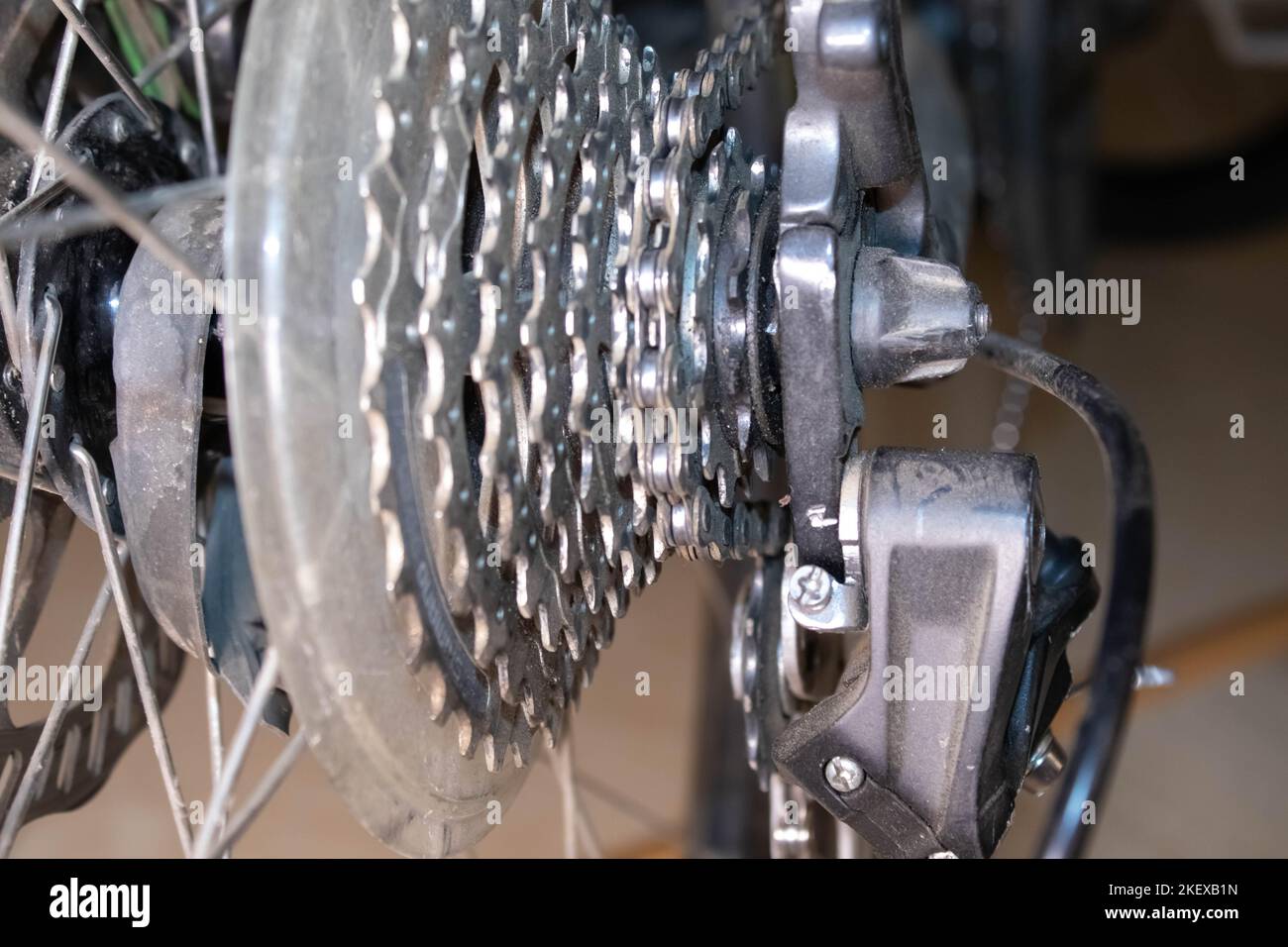 Rear wheel cassette and chain in a mountain bike. Close up detailed ...