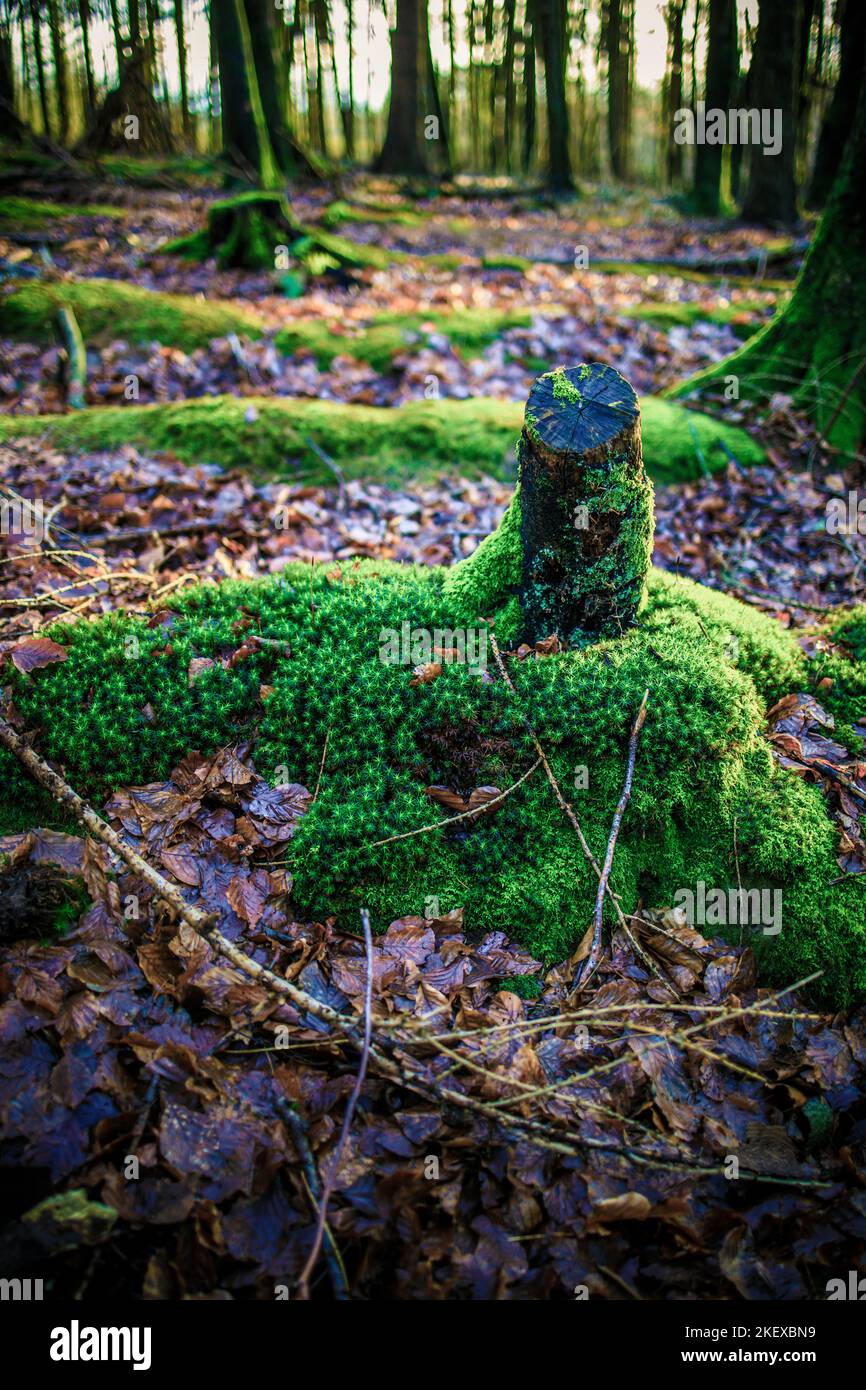 Kildoon hi-res stock photography and images - Alamy