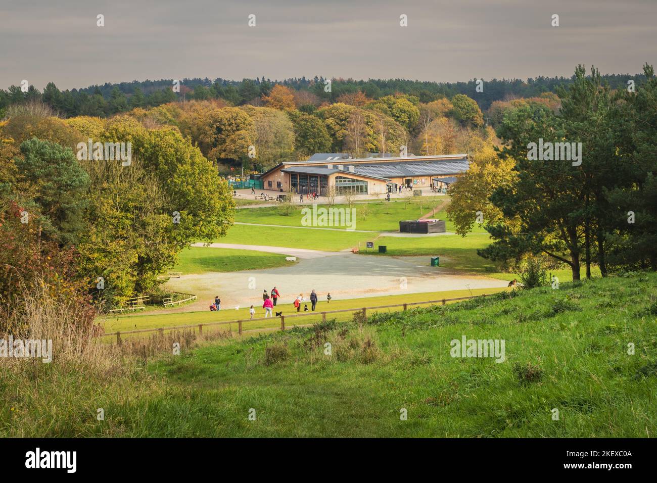Delamere Forest is a large wood in the village of Delamere in Cheshire ...