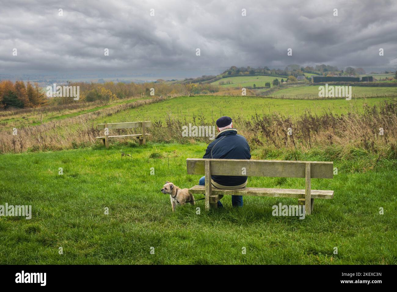 Delamere Forest is a large wood in the village of Delamere in Cheshire ...