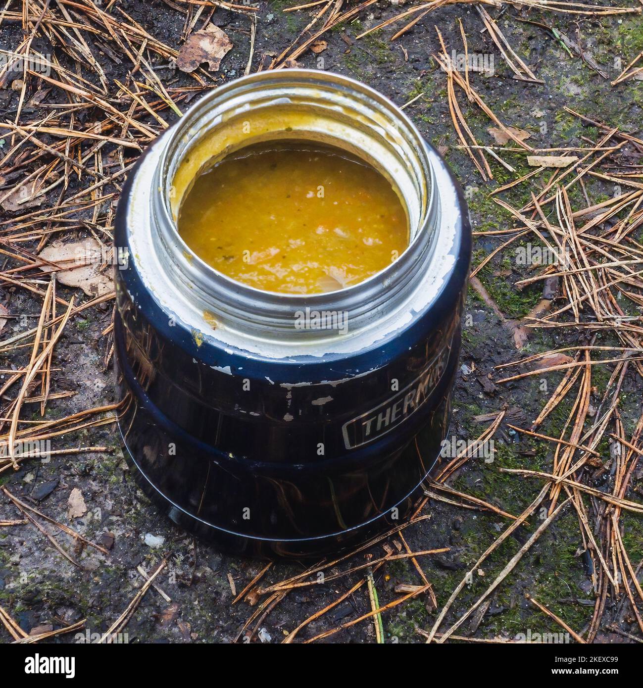 Delamere Forest is a large wood in the village of Delamere in Cheshire ...