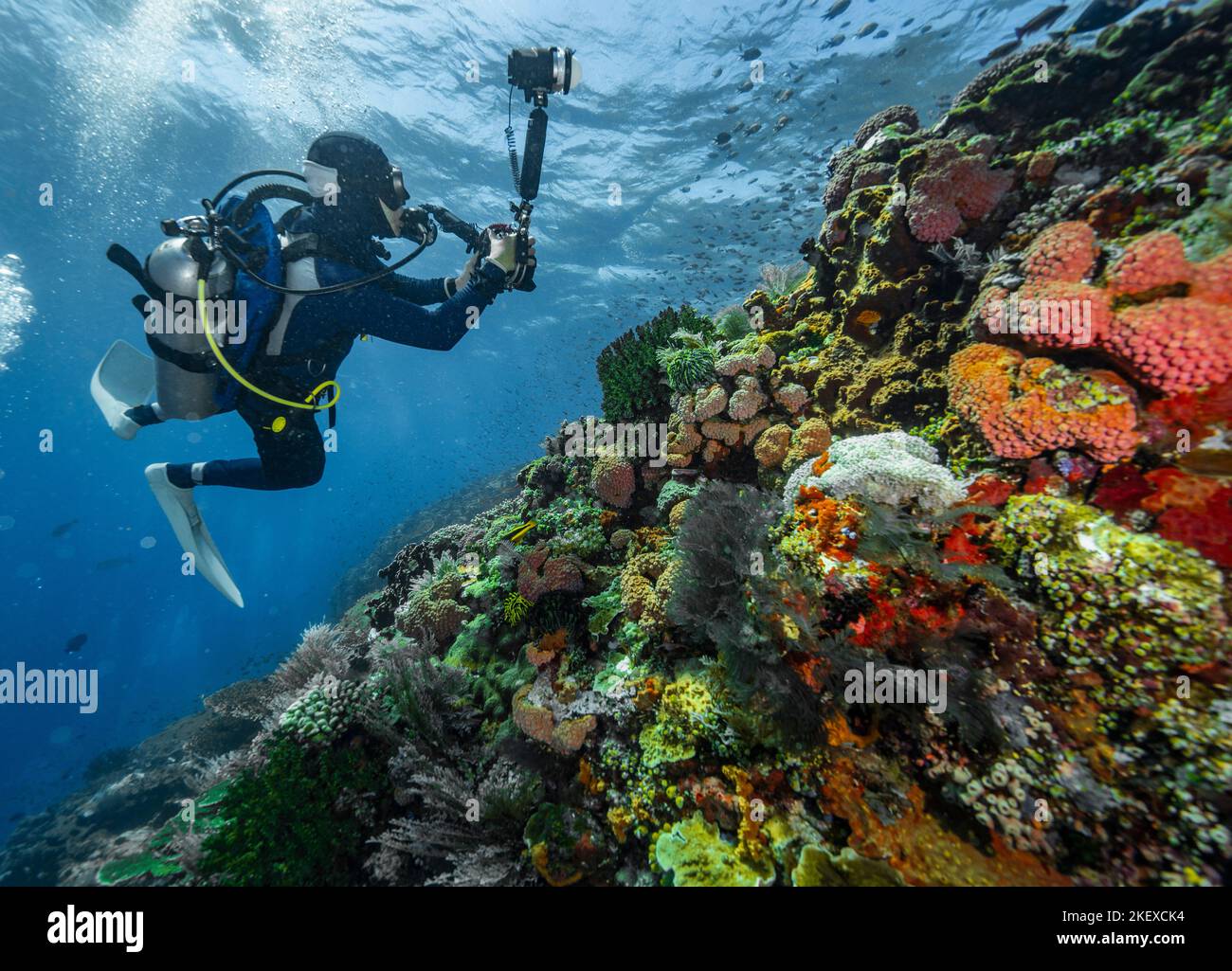 Ocean surface coral reefs tropical hi-res stock photography and images ...