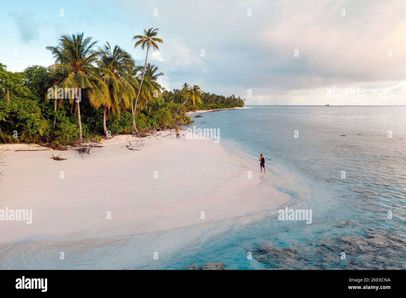 Aerial view of man standing at the beach Stock Photo - Alamy