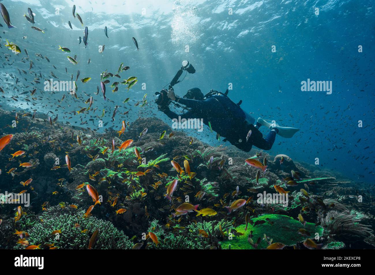 Labuan bajo flores diving hi-res stock photography and images - Alamy