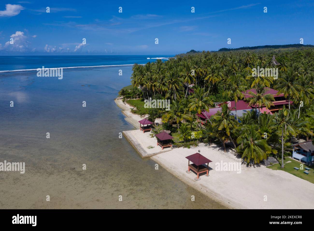 Nias hi-res stock photography and images - Alamy
