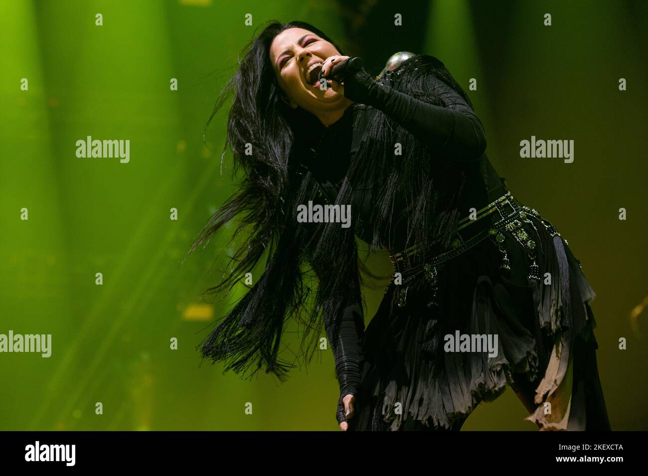 Evanescence Band 2022