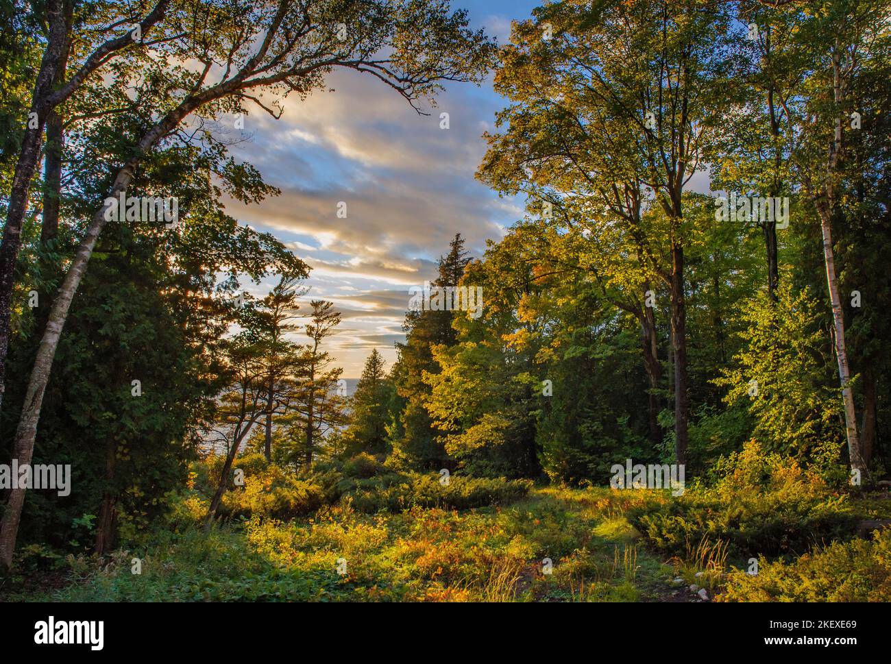 This forest opening sits behind the Clearing Lodge and looks west to ...
