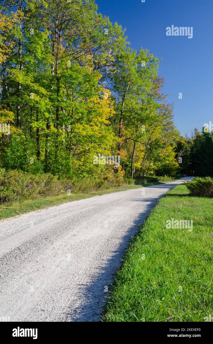This road heads from early fall color into the forest darkness, Door ...