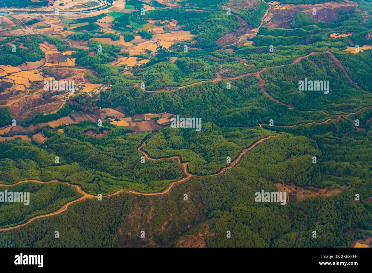 Aerial view of woodland paths hi-res stock photography and images - Alamy