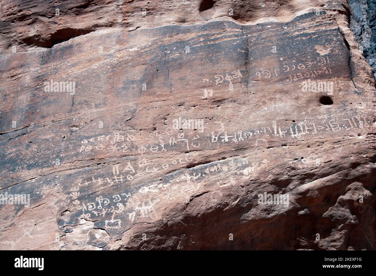 Prehistoric rock carvings of camels over written with script Wadi Rum ...