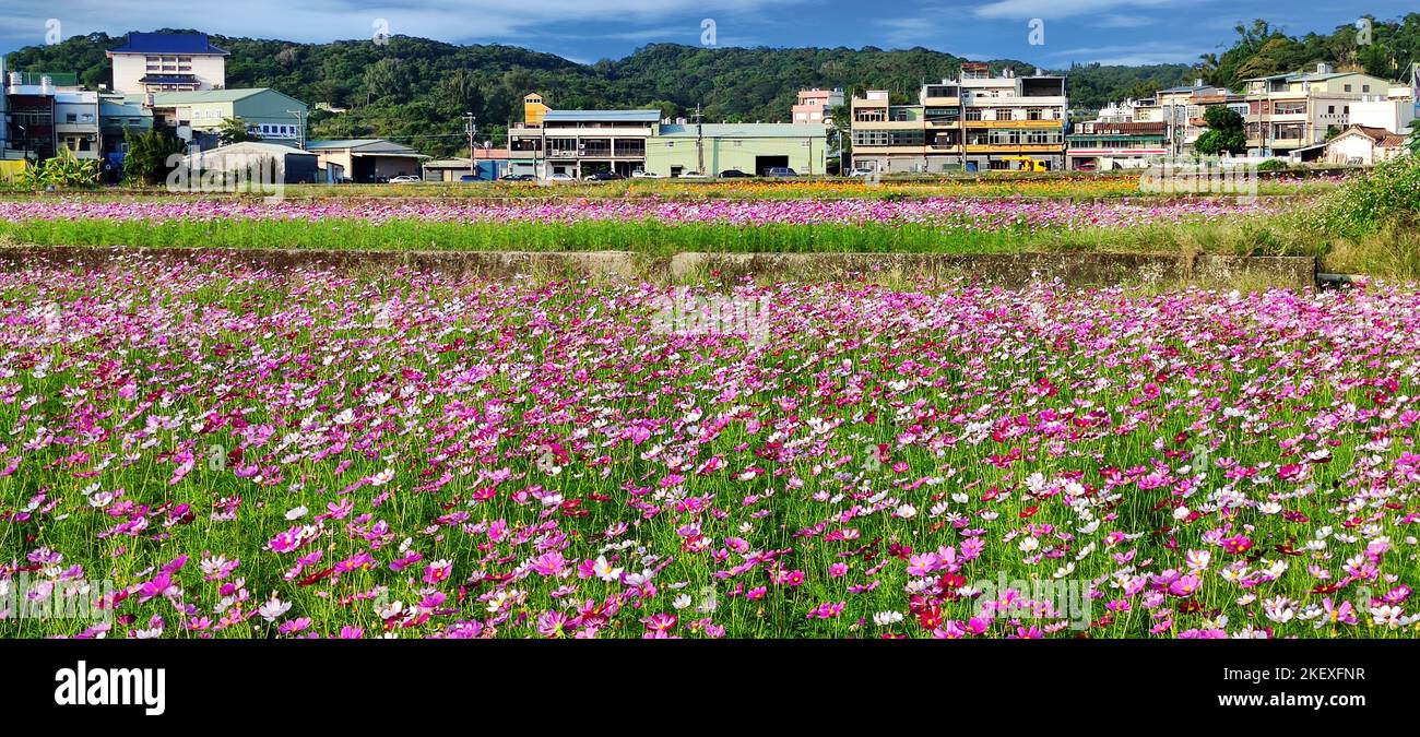 Taoyuan city skyline hi-res stock photography and images - Alamy