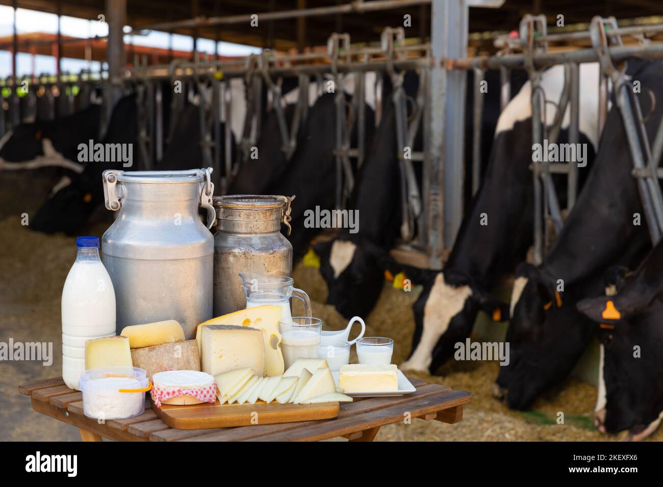 Image of dairy products on the farm Stock Photo - Alamy