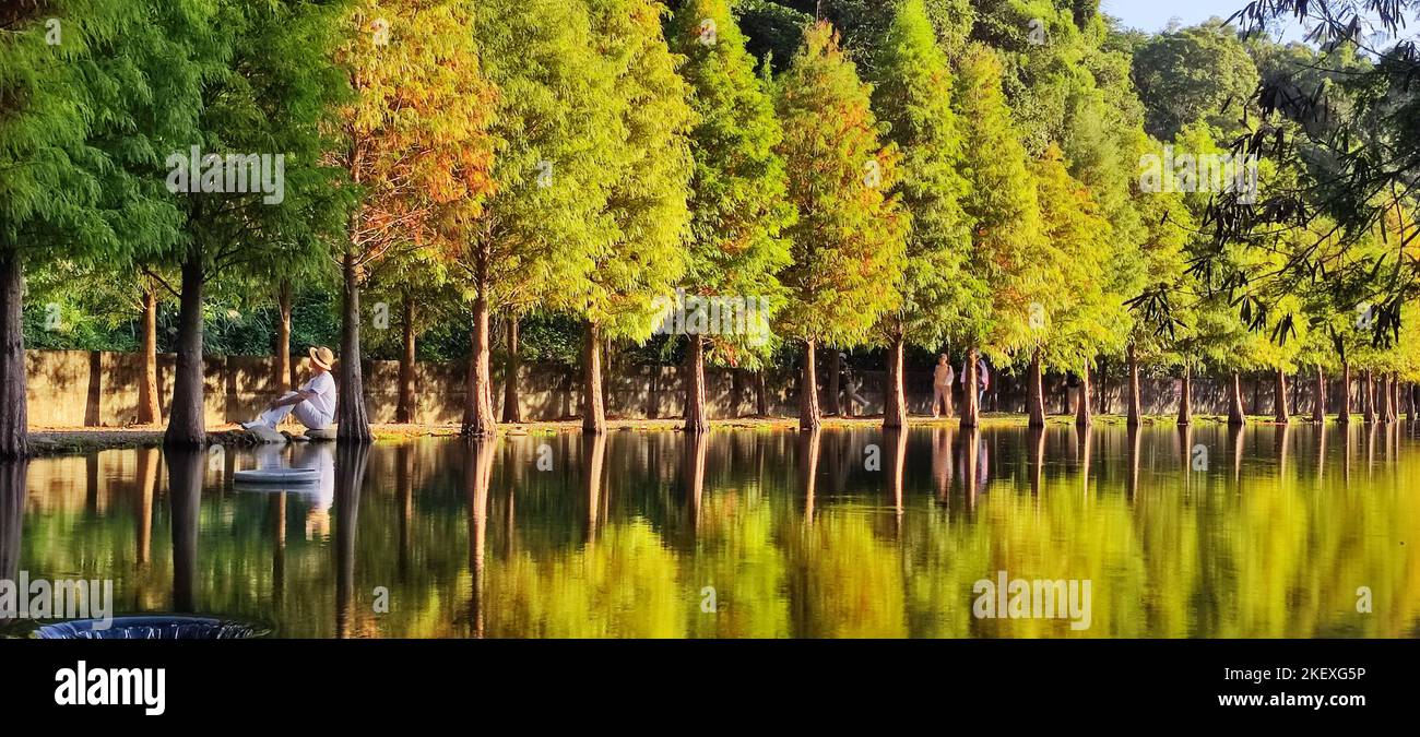 Daxi, Taoyuan City - November, 14, 2022: Daxi Moonbrow Flower Festival ...