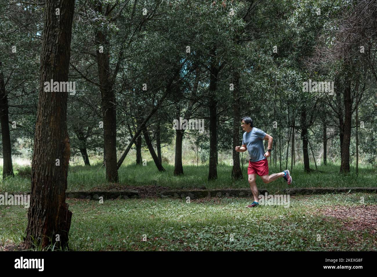 Adult Latino man running through the woods for fitness and health Stock ...
