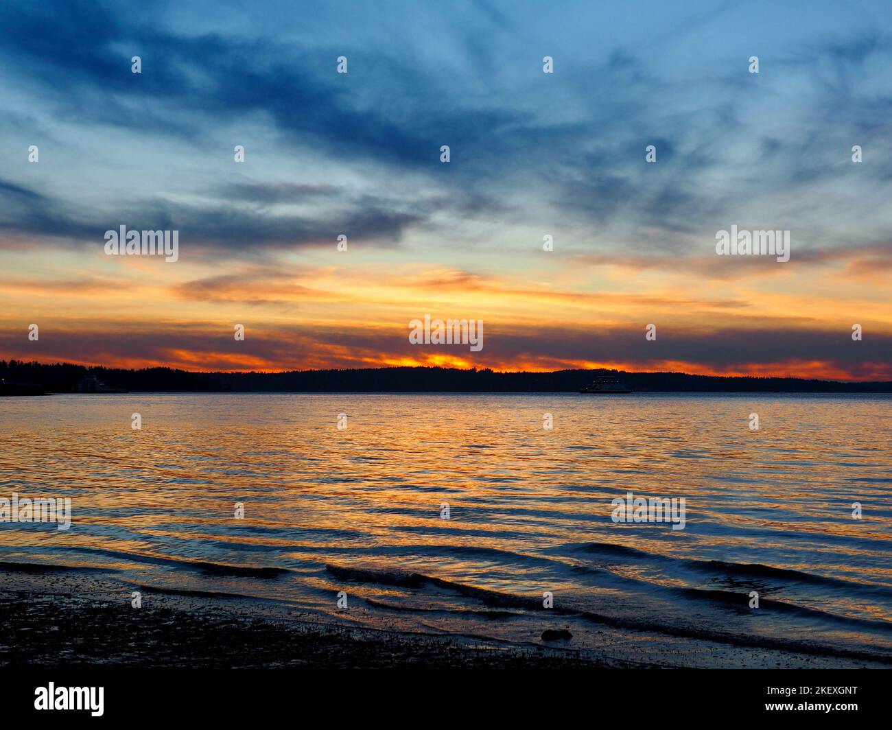 Steilacoom beach hi-res stock photography and images - Alamy