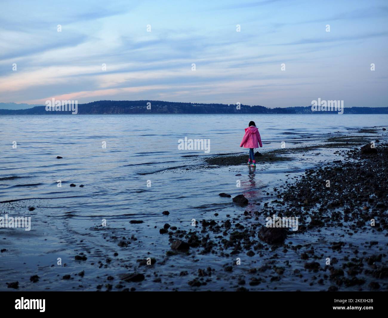 Steilacoom beach hi-res stock photography and images - Alamy
