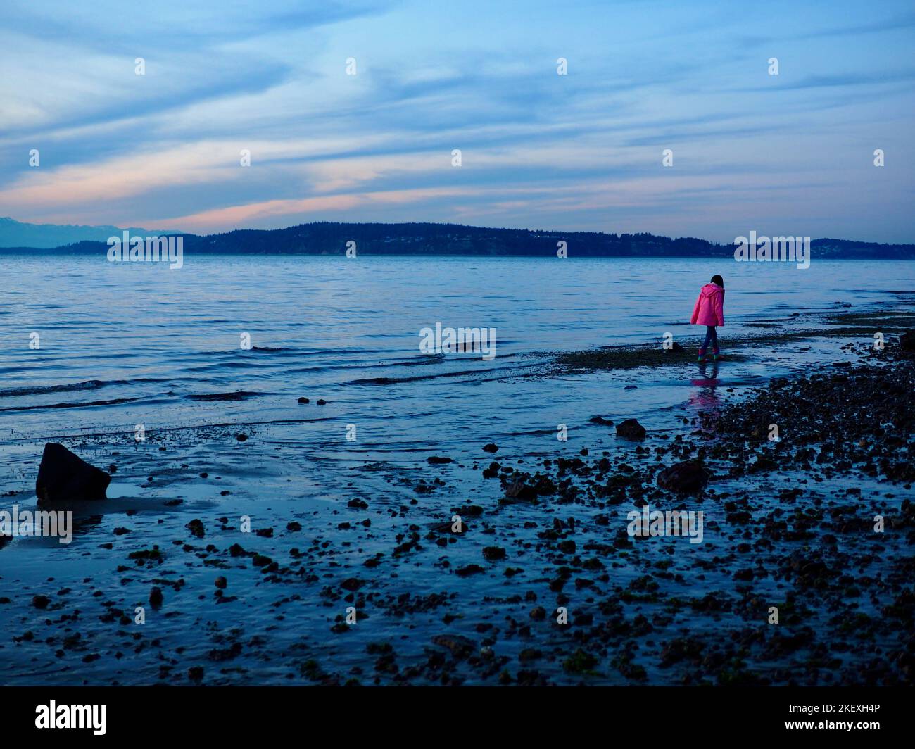 Steilacoom beach hi-res stock photography and images - Alamy