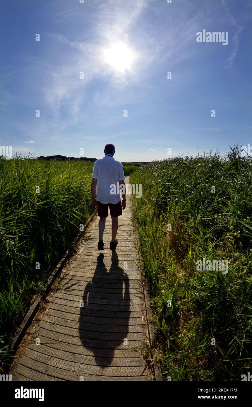 lone man standing on wooden walkway at cley next the sea norfolk ...
