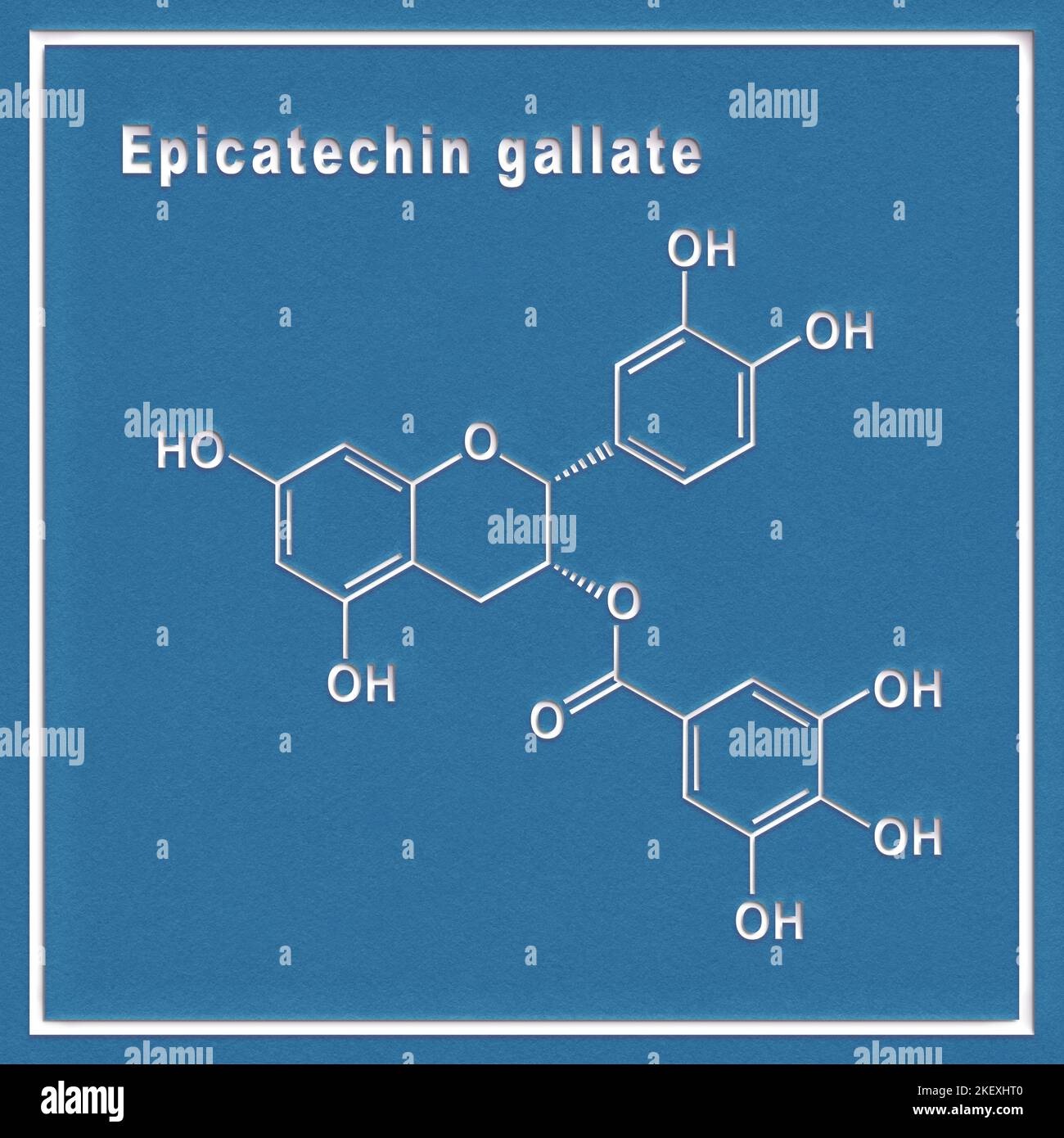 Epicatechin gallate, Structural chemical formula on a white background ...