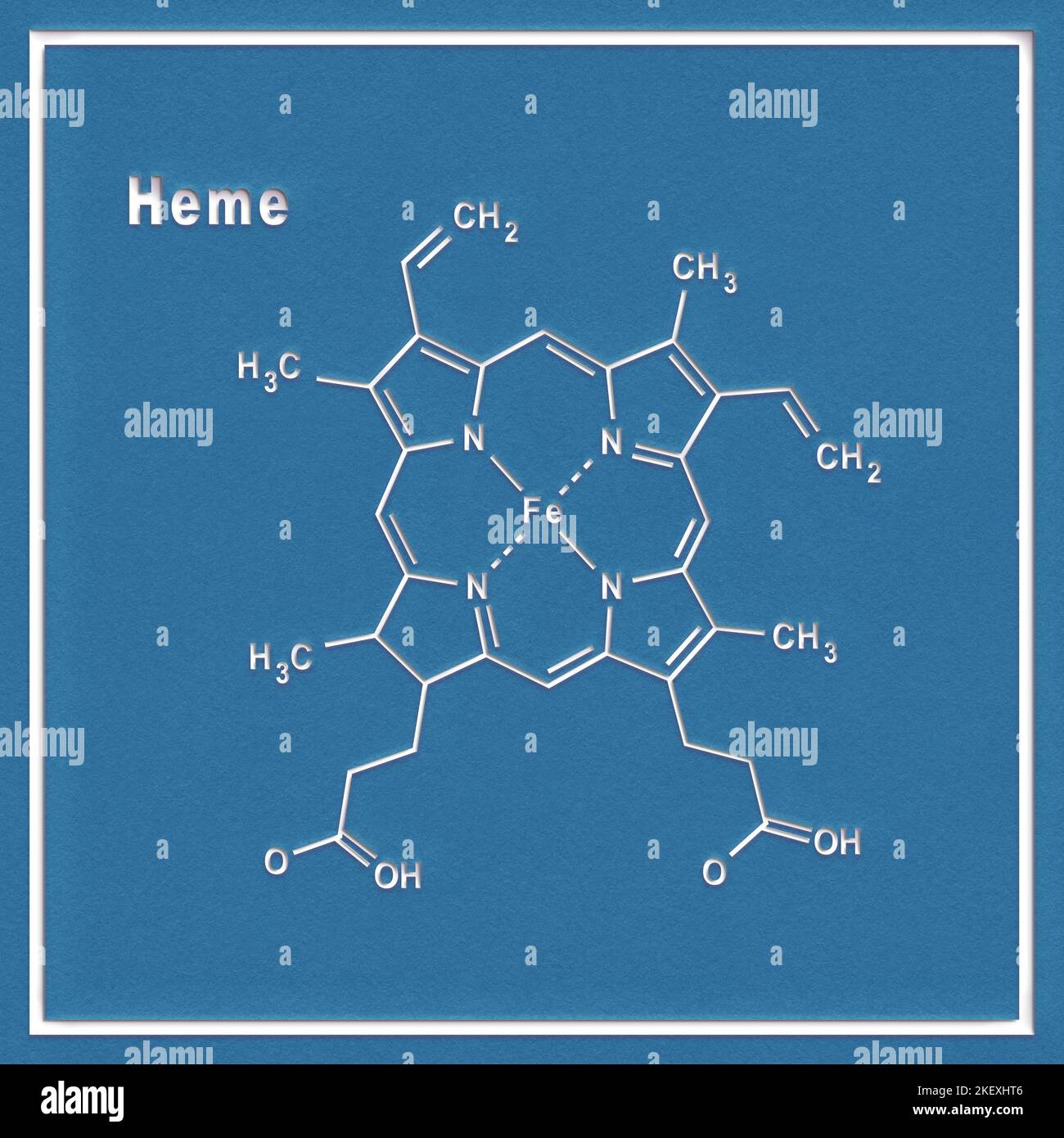 Heme molecule Structural chemical formula on a white background Stock ...