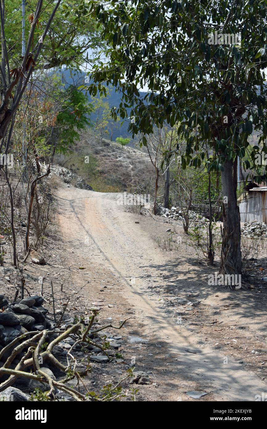 Timor springs hi-res stock photography and images - Alamy