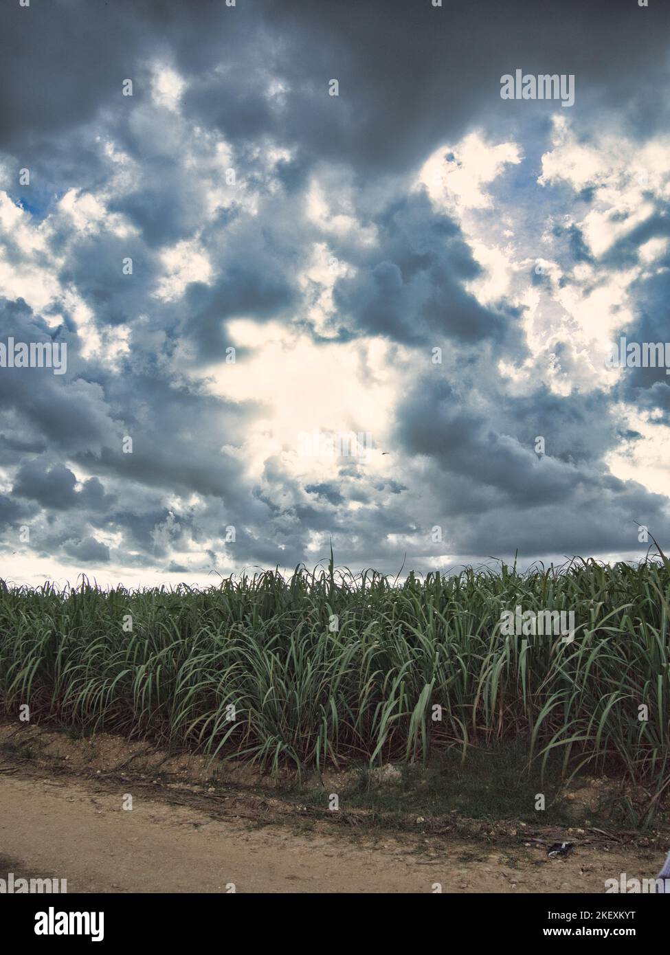 Places of the field of trip to Higueral roads and highways with the ...