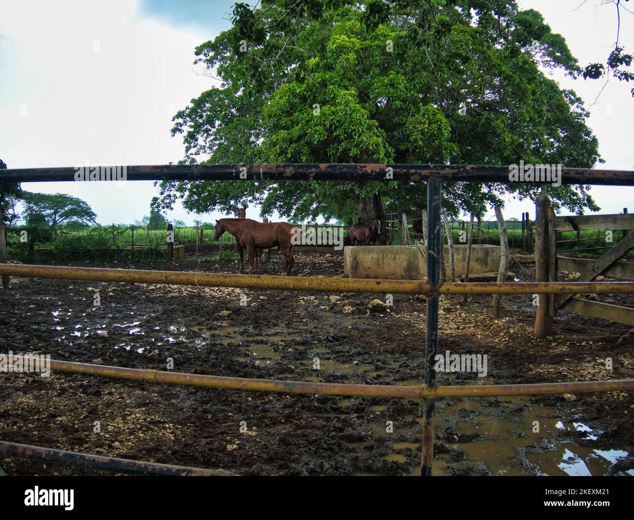 Places of the field of trip to Higueral roads and highways with the ...