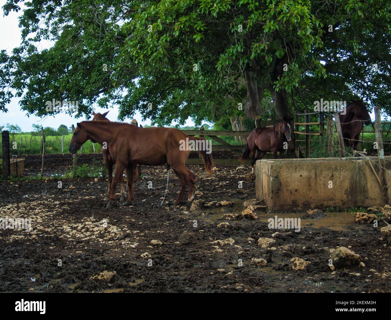 Places of the field of trip to Higueral roads and highways with the ...