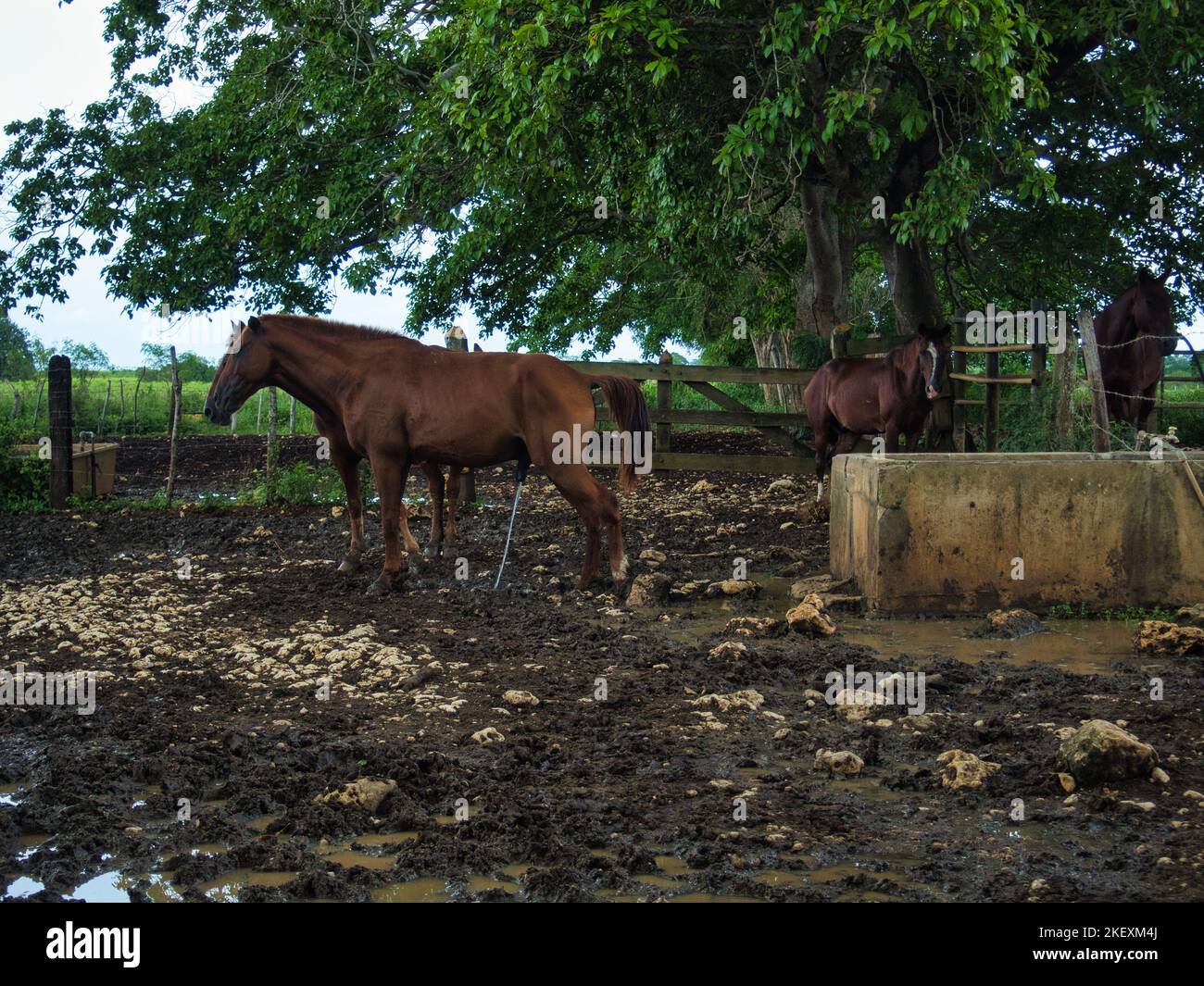 Places of the field of trip to Higueral roads and highways with the ...