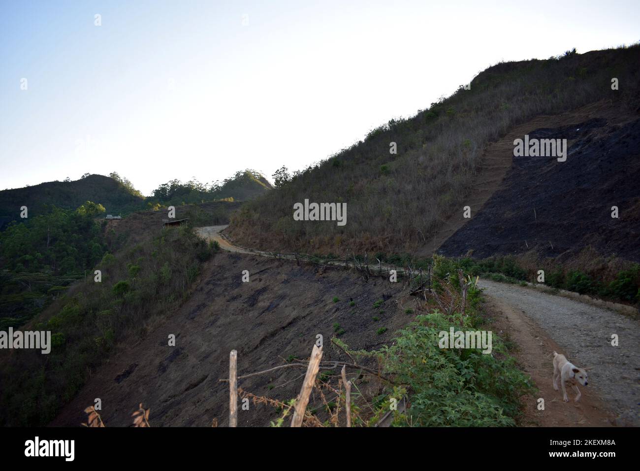 Abstraction of Activities in Timor Leste Stock Photo - Alamy