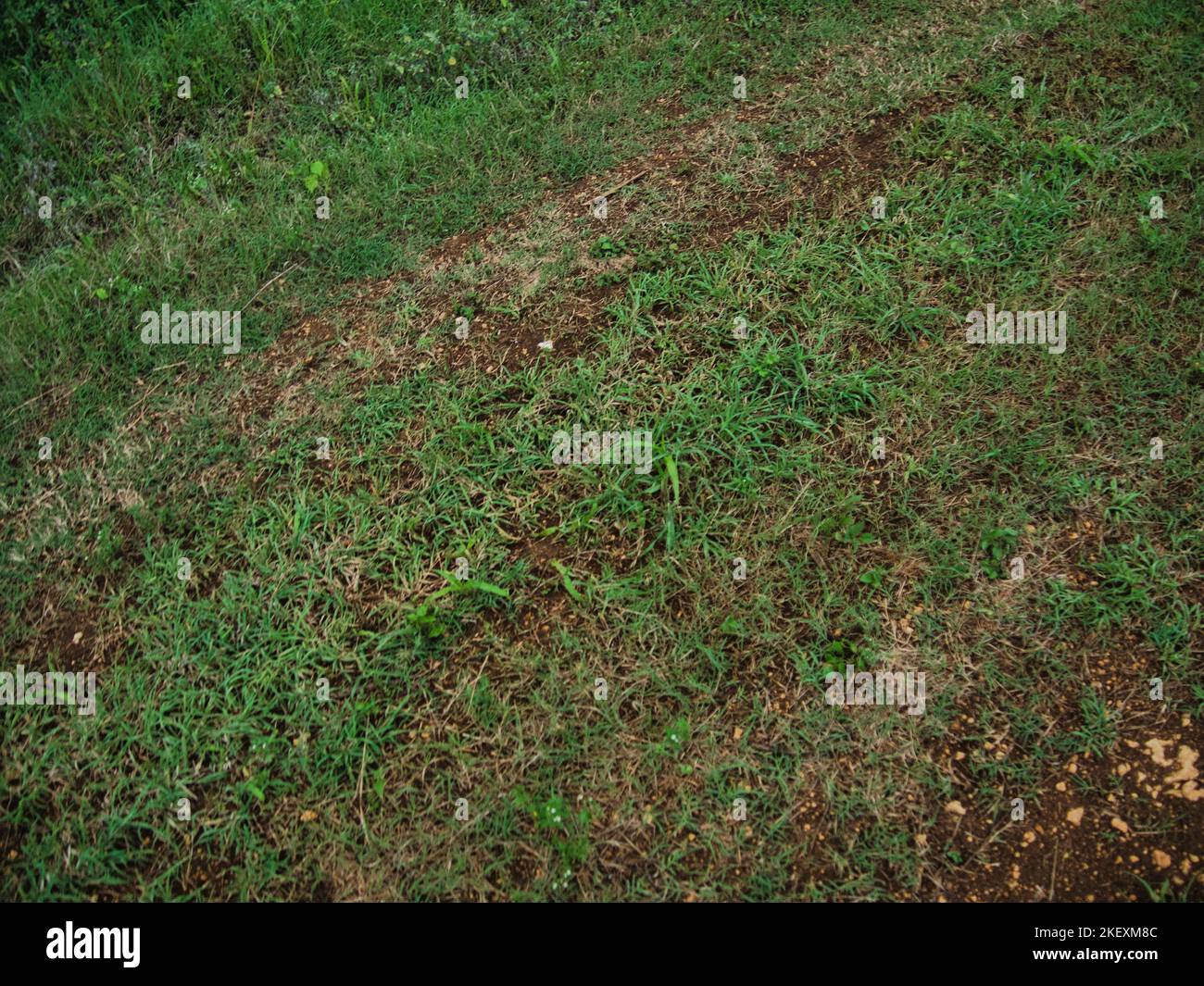 Places of the field of trip to Higueral roads and highways with the ...