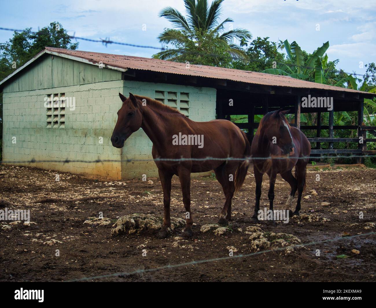 Places of the field of trip to Higueral roads and highways with the ...