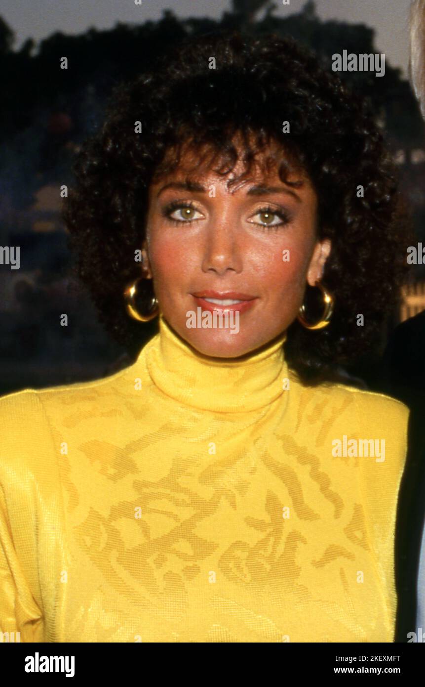 Stepfanie Kramer at the NBC Affiliates Party on June 18, 1986 at ...