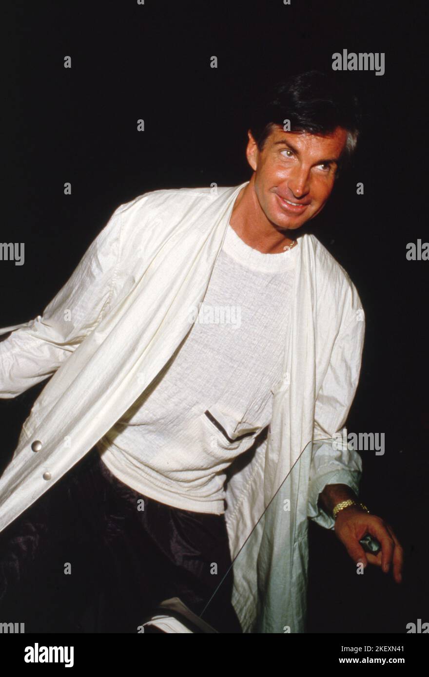George Hamilton Circa 1980's Credit: Ralph Dominguez/MediaPunch Stock ...