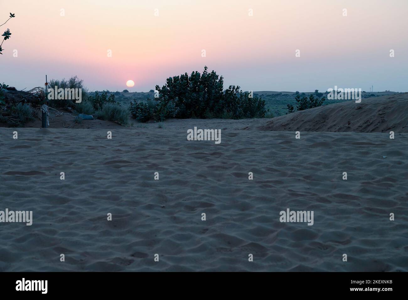 Sun rising at the horizon of Thar desert, Rajasthan, India. Tourists from across India visits to ...