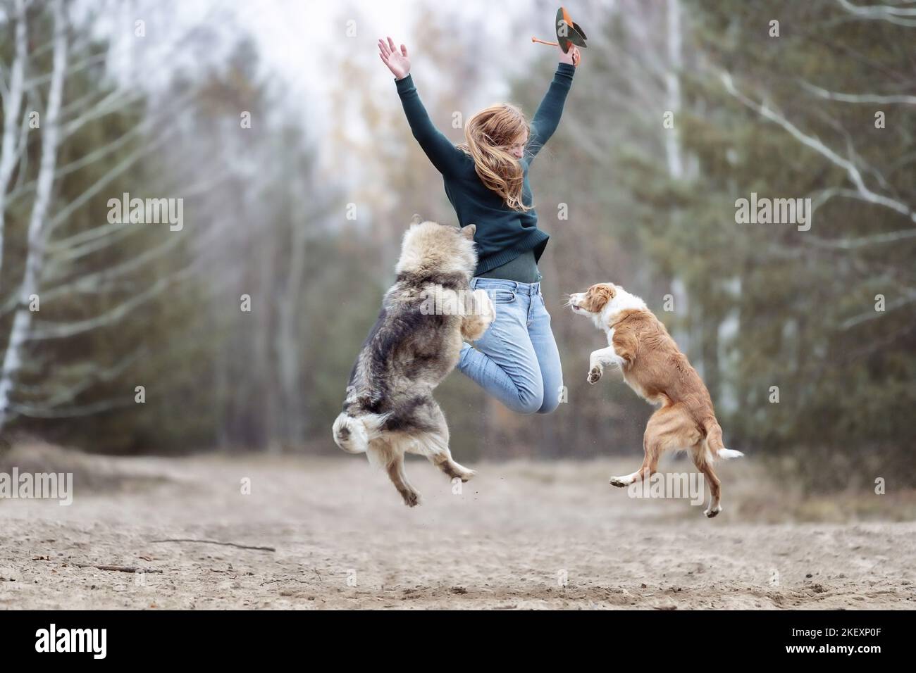 woman jumps with dogs in the air Stock Photo - Alamy