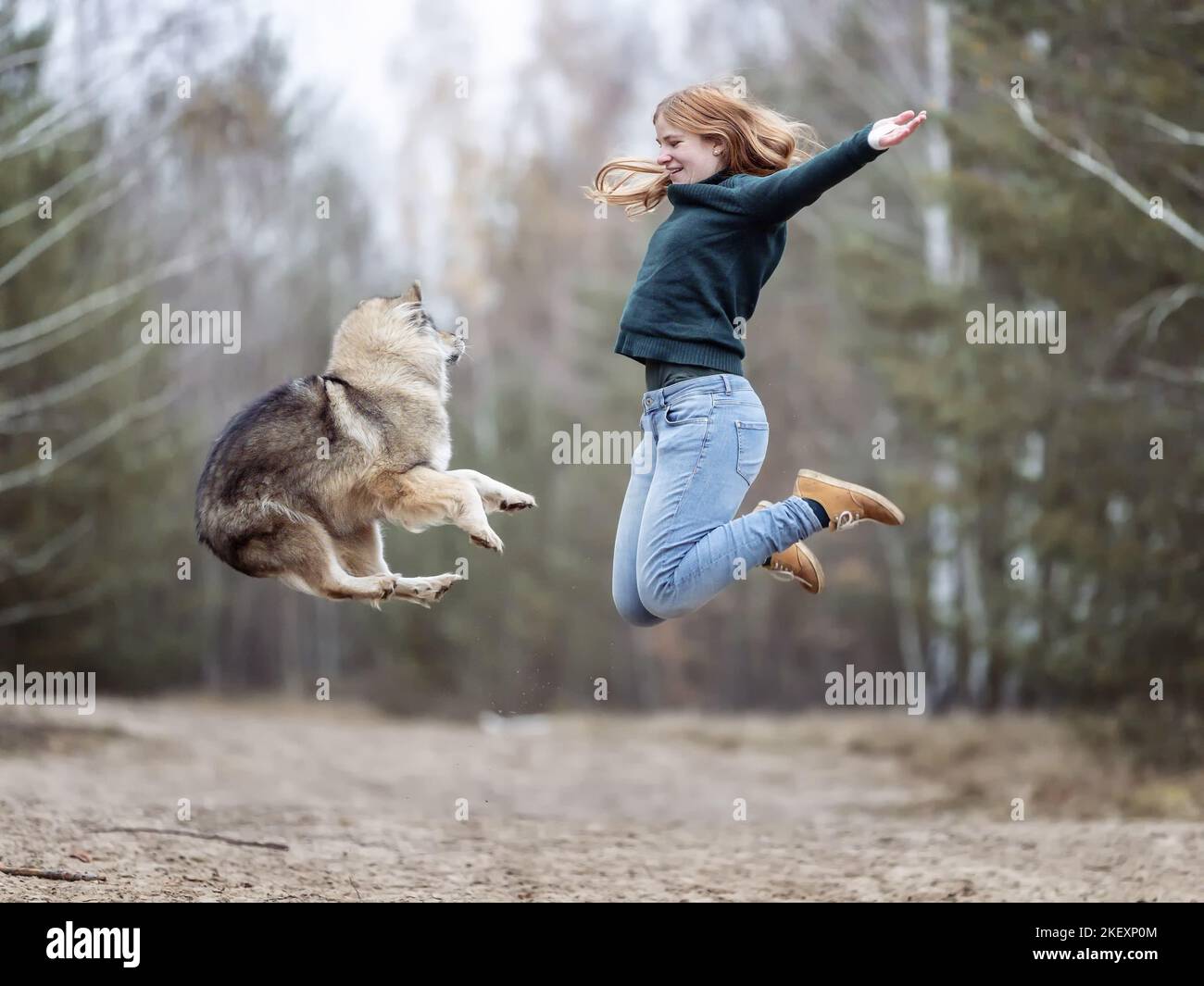 woman jumps with Eurasian Dog in the air Stock Photo - Alamy