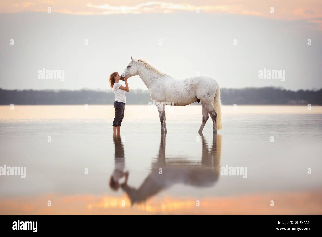 woman and Holstein Horse Stock Photo - Alamy